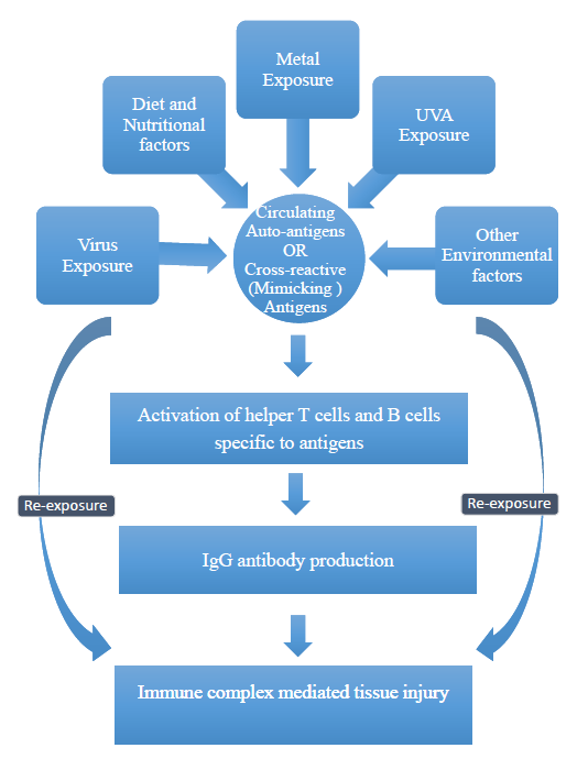 Following Autoimmune Diseases Through Patient Interactive Diaries ...